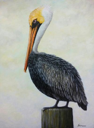 DOCK MASTER - Beaufort Historic Site